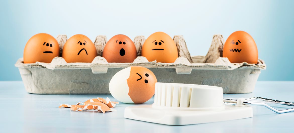 21 Eggs-quisite and Fun Egg Facts | FactRetriever.com