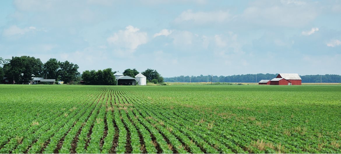 23 Fun and Interesting Indiana Facts | FactRetriever.com