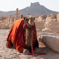 Interesting Geography Facts | Fun Facts about Geography