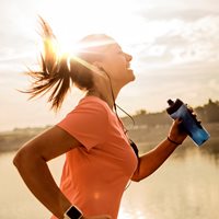 FactRetriever | Interesting Facts for the Curious Mind