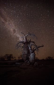 57 Stunning Facts about Namibia | FactRetriever.com