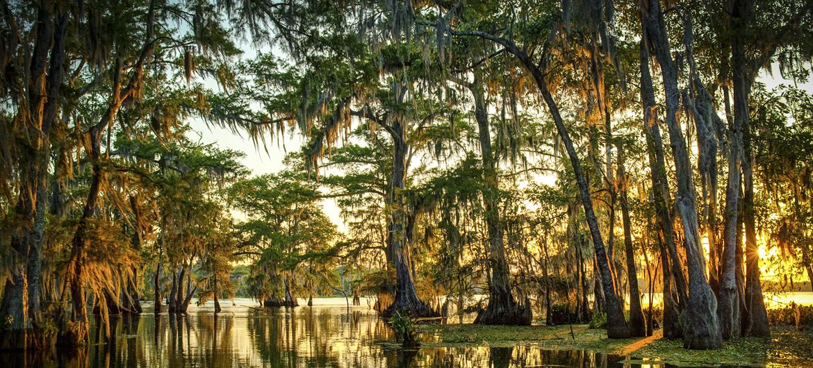 25 Interesting Louisiana Facts | FactRetriever.com