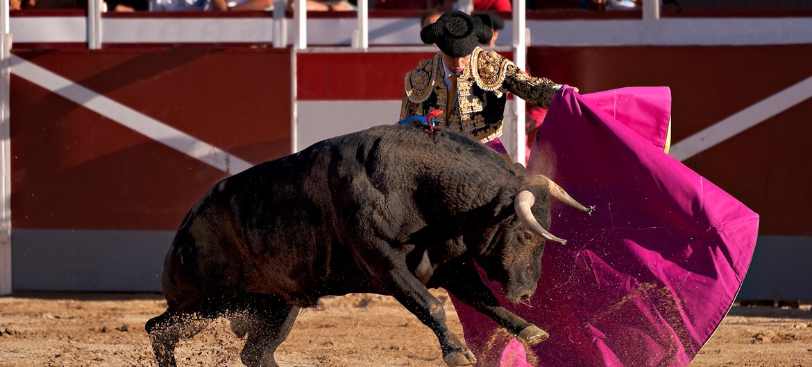 79 Interesting Spain Facts And History Fact Retriever