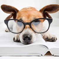 Interesting Crustacean Facts | Facts about Crustaceans